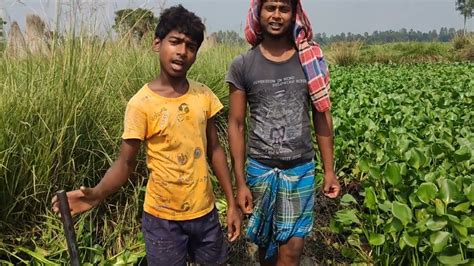 সবাই মিলে কচুরিপানার সরিয়ে শিংঙী কৈ ও মাগুর মাছ পাওয়া গেল