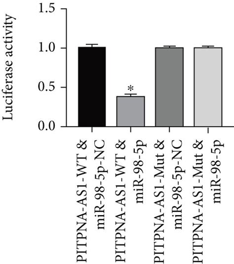 PITPNA AS1 Negatively Regulated The Expression Of MiR 98 5p A