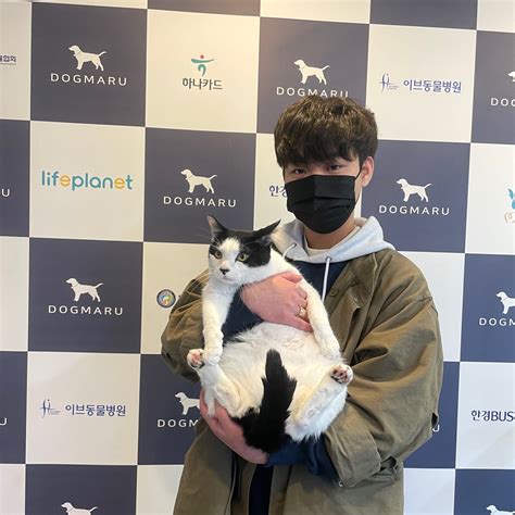 코리안숏헤어 룩 책임분양 브리티쉬숏헤어분양 토이푸들분양 애완견분양 폼피츠분양 유기묘무료분양 말티푸분양 강남고양이분양 말티즈분양 빅토리아펫보호소 입양완료