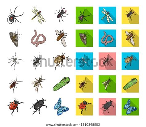 Different Kinds Insects Cartoonflat Icons Set Stock Vector Royalty Free Shutterstock
