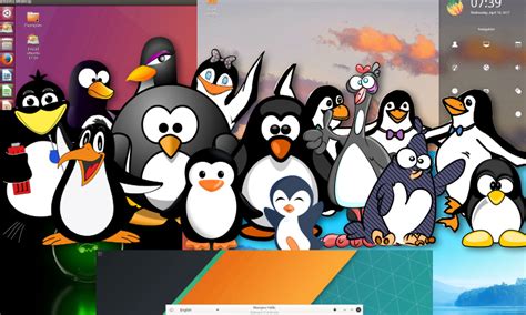Лучшие дистрибутивы Linux 2017 Losst