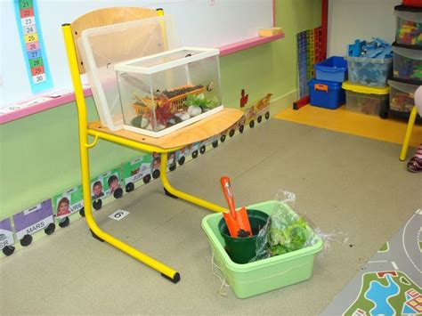 Autour Des Escargots Le Tour De Ma Classe Escargot Maternelle