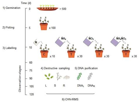 Stable Isotopes PLOS Collections