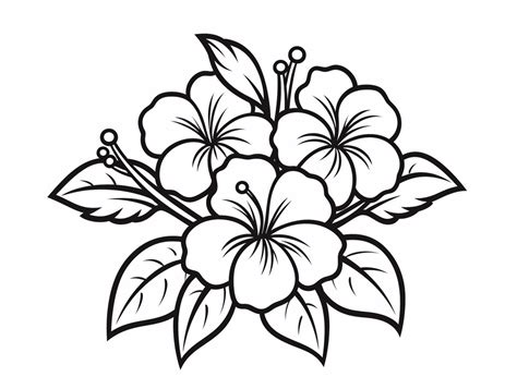 Hawaiian Flowers Colouring Pages