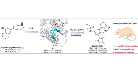 Discovery Of H Imidazo B Pyridine Derivatives As Potent And