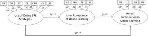 The Completely Standardized Parameter Estimates Of The Factor Loadings