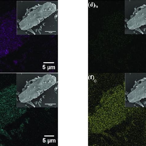 Bet Isotherm Image A And Sem Images And Edx Spectra B Cu Mapping Download Scientific