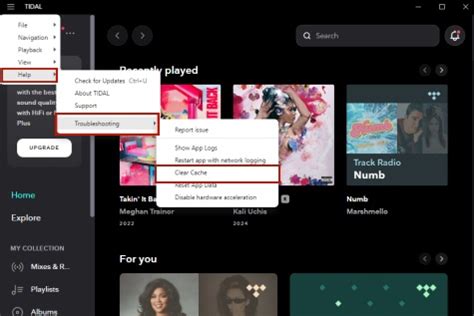 How To Solve Tidal Stops Playing When Screen Is Off All Device