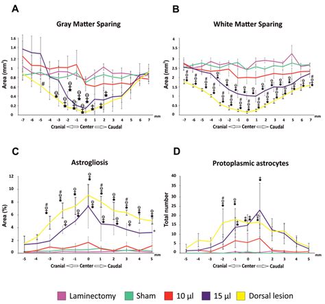 Histological And Immunohistochemical Assessment Volumetric Measurement