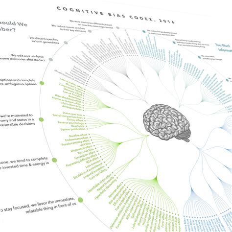 Buy The World Famous Cognitive Bias Codex Print Design Hacks