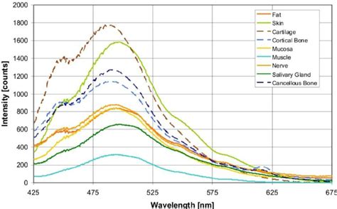 Autofluorescence Spectra Averaged Over 900 Measurements Per Tissue