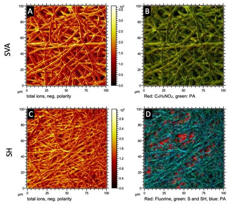 High Lateral Resolution Tof Sims Imaging A And C Total Ion Images