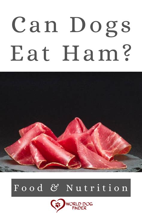Can Dogs Eat Ham Can Dogs Eat Make Dog Food Nutrition Recipes