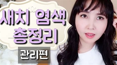 새치염색후 헤어관리염색 오래가는법염색 후 샴푸에센스염색 관리 Youtube