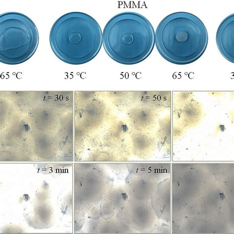 Morphologies Of As Prepared Pcm Composite During Melting Solidification