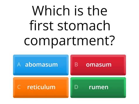 The Ruminant Digestive System Quiz