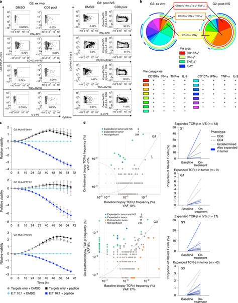 Neoantigen Reactive Cd8 T Cells Are Polyfunctional Kill Targets Download Scientific Diagram