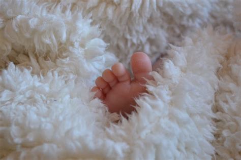 The Art Of Cheryl Connell