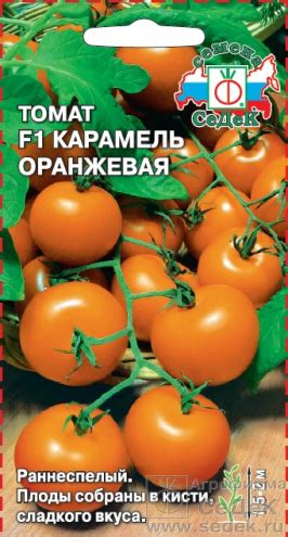 Томат Карамель Оранжевая F1 0,05 гр. | ХозВыбор интернет-магазин ...