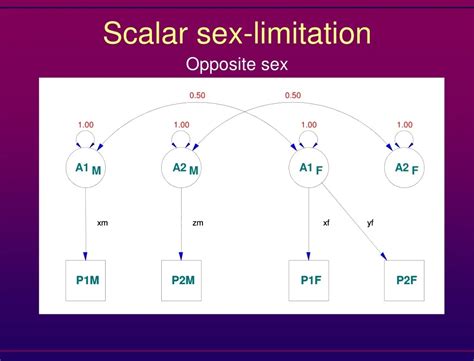 Ppt The Problem Powerpoint Presentation Free Download Id9577692