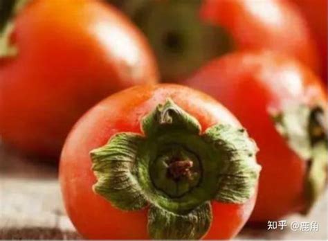 老话讲：“一个柿子十副药”，说的是什么意思？看医生怎么说 知乎