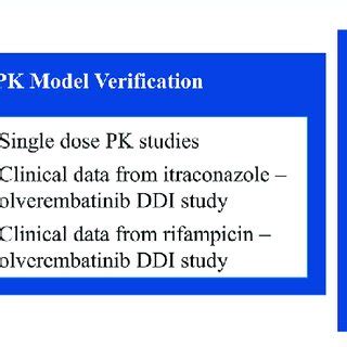 The Overall Model Development Verification Process And Simulation