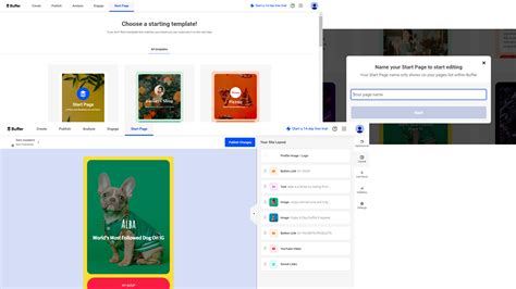 buffer review social media management tool