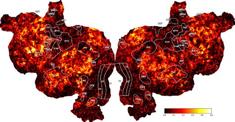 Figure A1 Generalization Performance For Individual Voxel Models