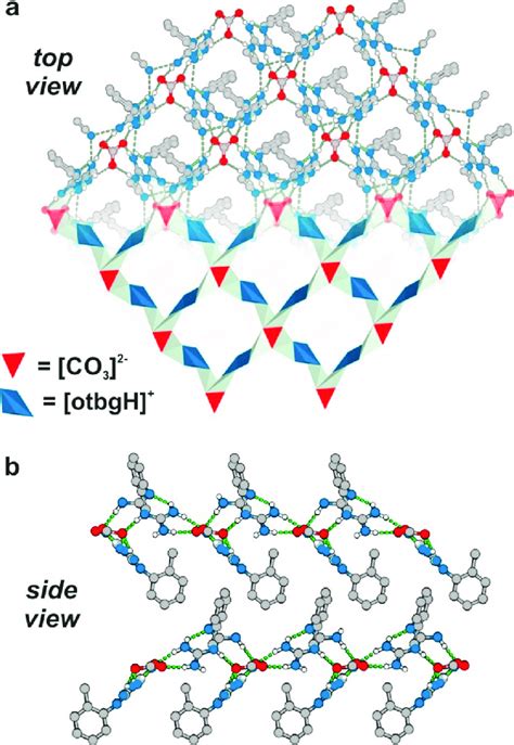 Crystal Structure Of 1 A 2d Supramolecular Hydrogenbonded Network