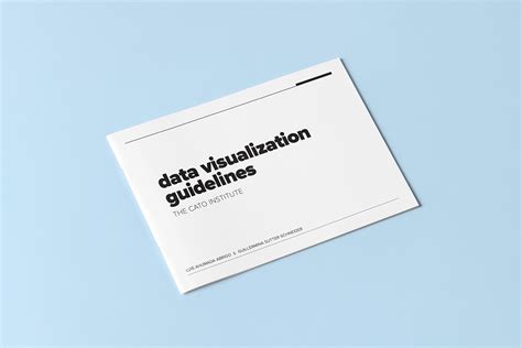 Data Visualization Guidelines Behance
