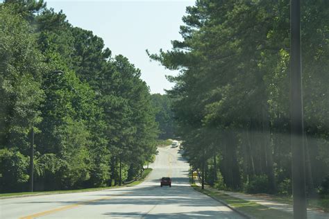 Tree Road Nature Free Photo On Pixabay