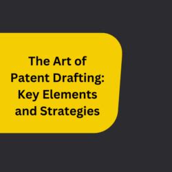 Patent Drafting Catalyst HIGH QUALITY PATENT DRAFTING