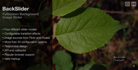 Backslider Fullscreen Background Image Slider By Flgravity Codecanyon