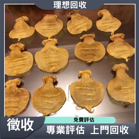徴收海味 花膠 海參 鮑魚 魚翅 燕窩 野生魚膠 白花膠 房膠 紅雞 赤嘴 等 健康及營養食用品 健康補充品 健康補充品 保健