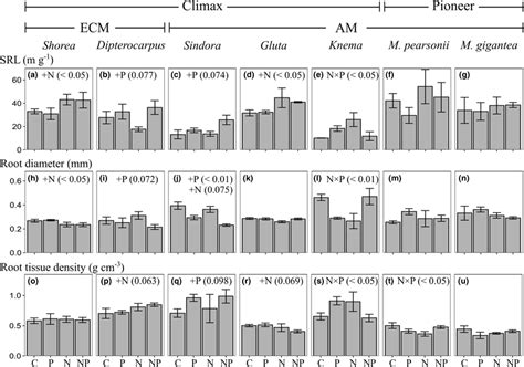 Specific Root Length Srl Ag Root Diameter Hn And Root Tissue