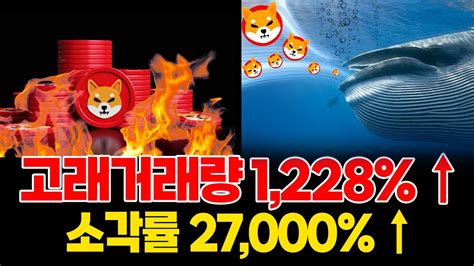 시바이누 고래가 춤추니 시바이누도 춤춘다 얼마나 갈까 시바이누도지시바이누전망 Youtube