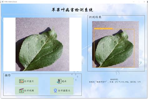 Yolov8pyqt5苹果叶病害检测（可以重新训练，yolov8模型，从图像、视频和摄像头三种路径识别检测） Csdn博客