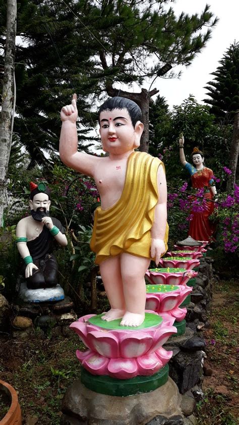 Ghim Của សុត ថុនា Trên គំនូ Hình ảnh