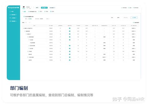 组织管理为什么是hr人资系统的核心模块？ 知乎