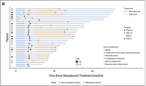 Neoadjuvant Nivolumab Plus Ipilimumab And Adjuvant Nivolumab In