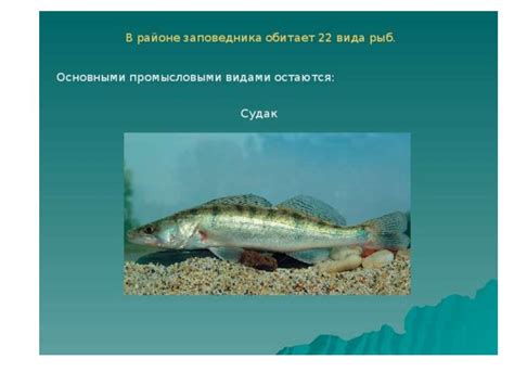 Заповедники России Дарвинский заповедник презентация онлайн
