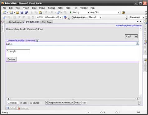 Themes Skins Master Page In Asp Net