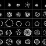 Tree 2D DWG Block For AutoCAD Designs CAD