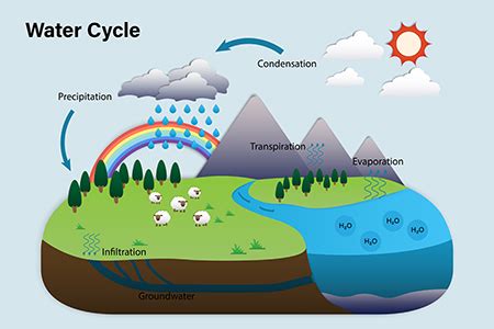 Emissions And Plastics