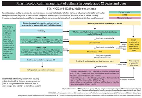 Management Of Asthma In People From 12 Years Btsnicesign Guideline