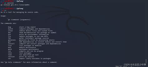 Kali Linux安装go语言环境详解kali安装go环境 Csdn博客