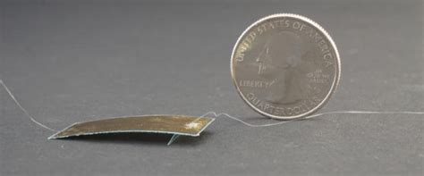 19 july uc berkeley cockroach robot 625 design engineering