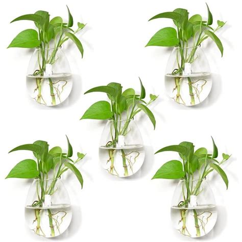 Fashiostorm 5 Packs Wall Hanging Planters Glass Plant Pots Water
