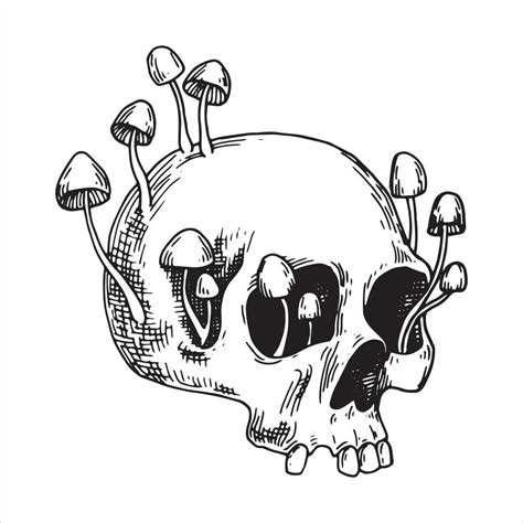 Vector Drawing Skull And Poisonous Mushrooms Graphic Drawing In Sketch