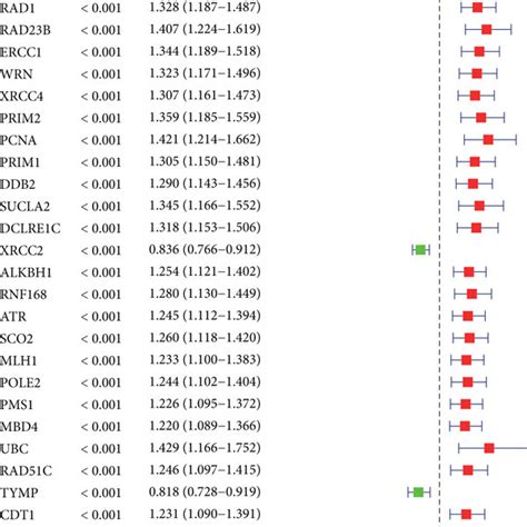 Identification Of Dna Repair Genes Associated With Prognosis A